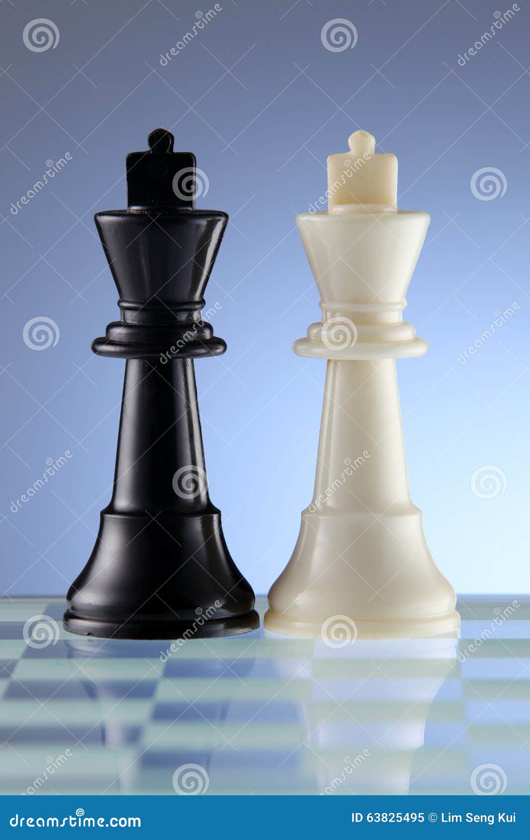 Two kings stock image. Image of strategy, leadership - 63825495