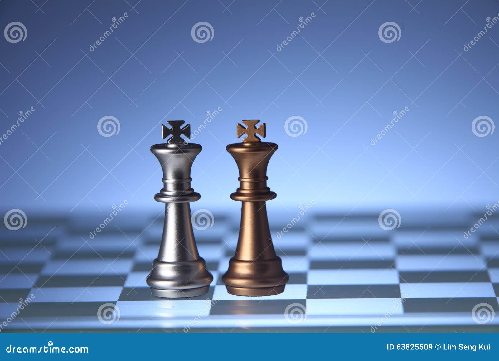 Two kings stock image. Image of choice, chess, move, knight - 63825509