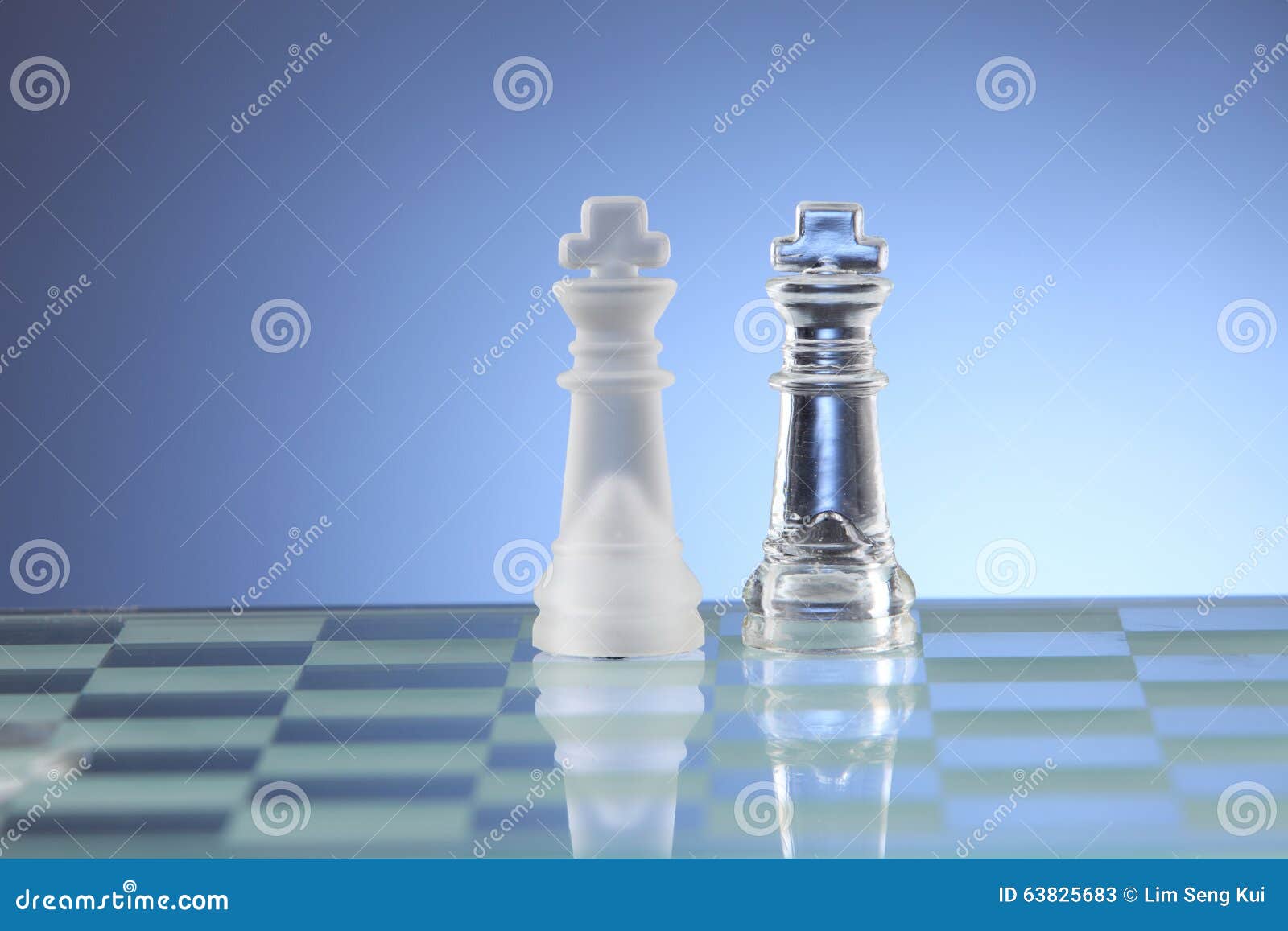 Two kings stock image. Image of knight, intelligence - 63825683