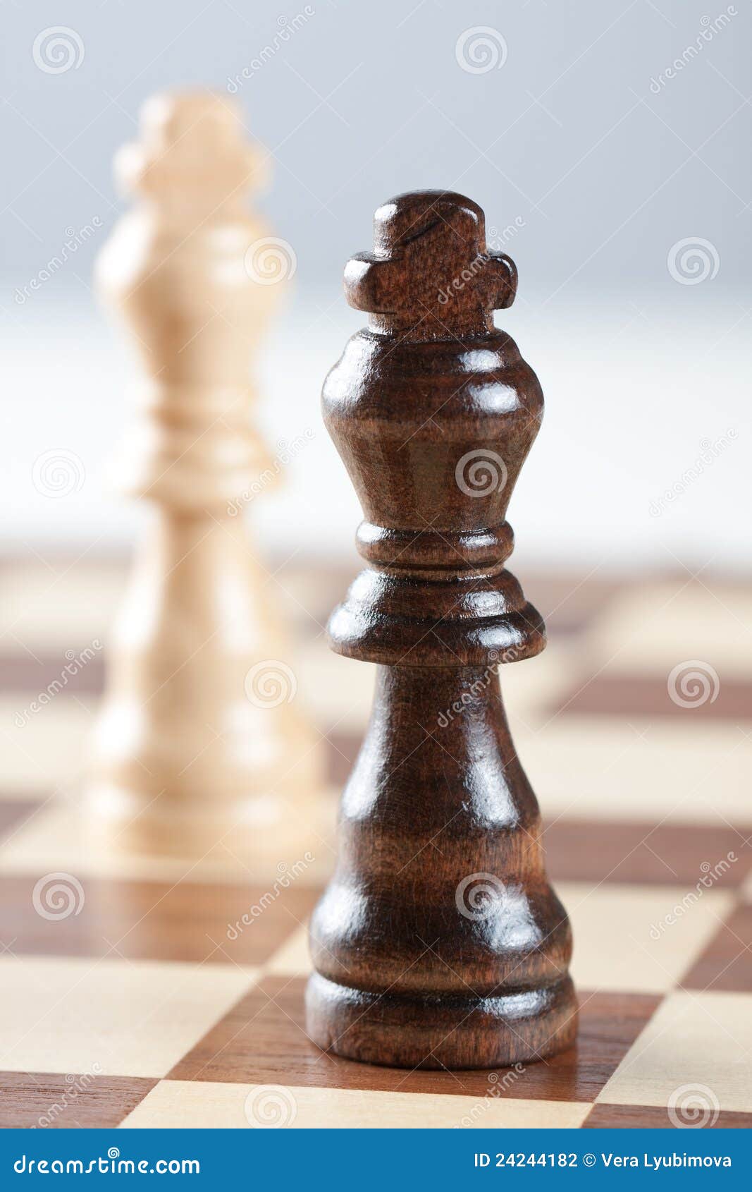 Two kings on chess board stock photo. Image of chessmen - 24244182