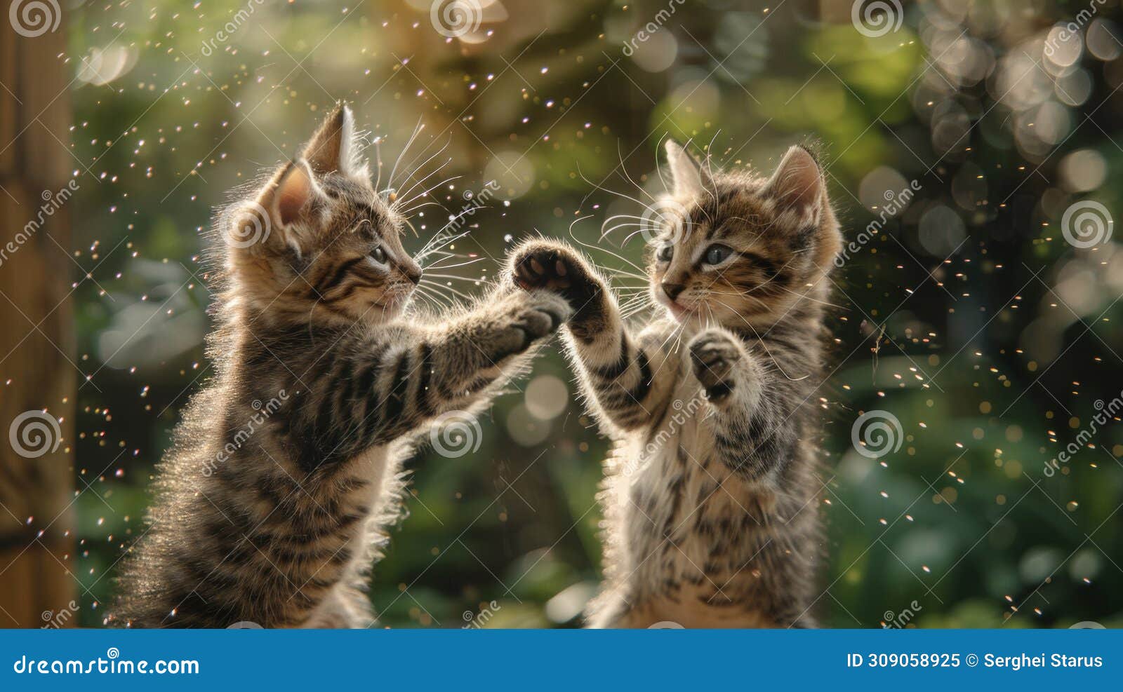 Two Kittens Playing with Each Other in a Field of Grass, AI Stock Image ...