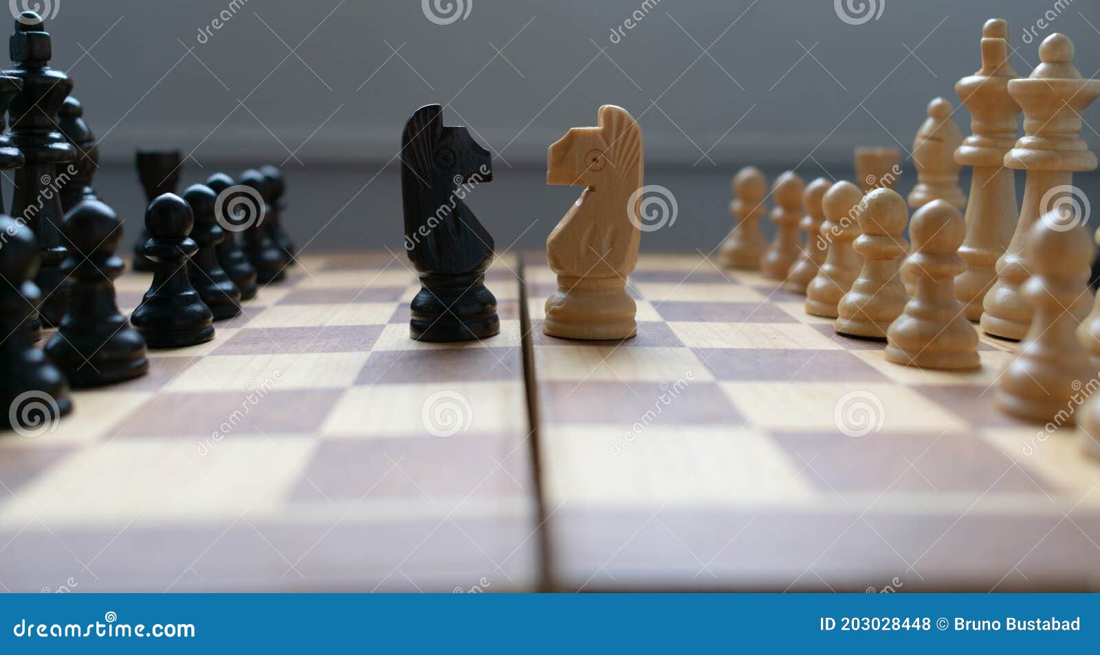 Two Knights of the Chess Game, One Black and One White, in Front of ...