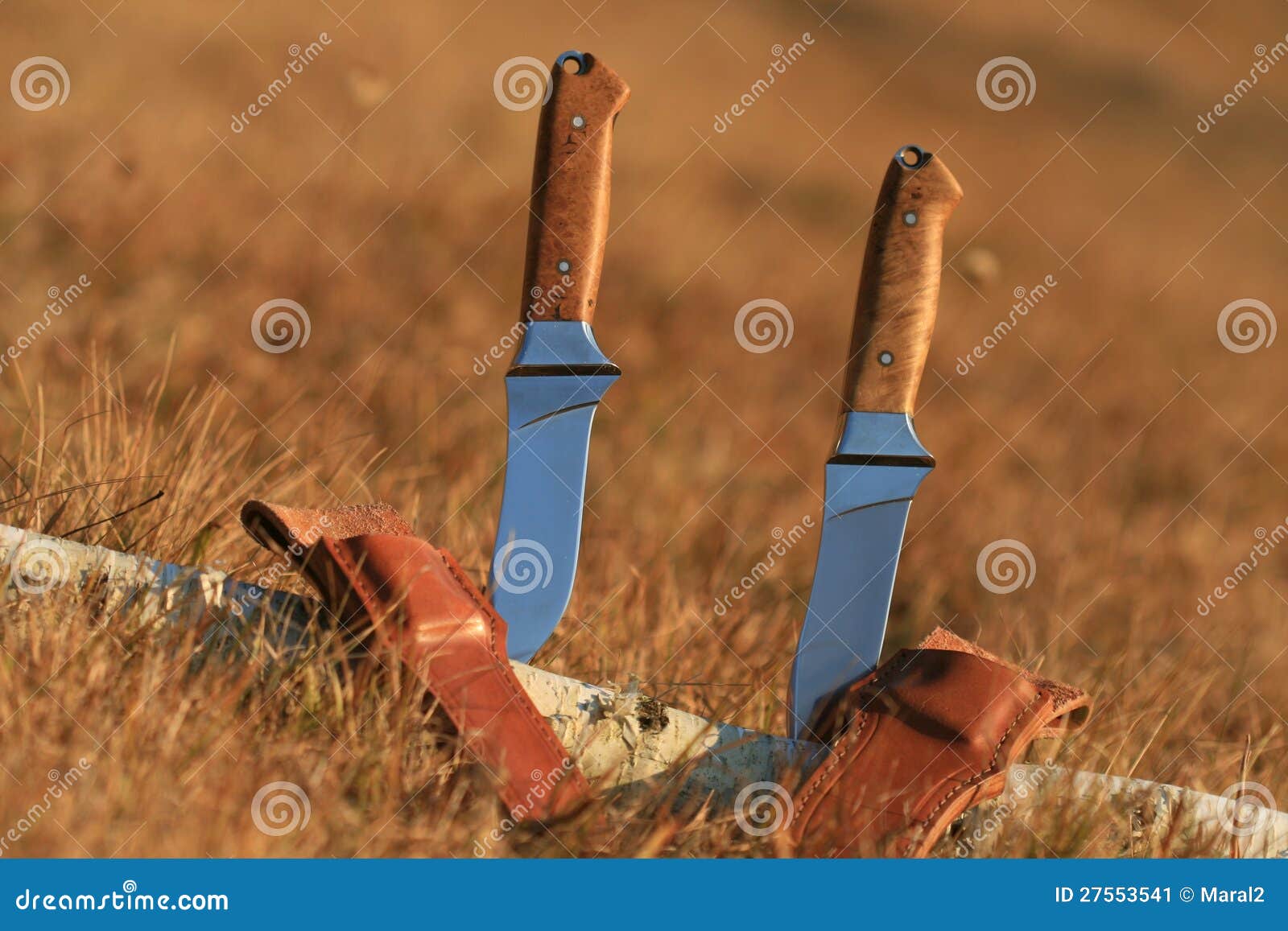 Two knives stock image. Image of wild, wood, camping - 27553541