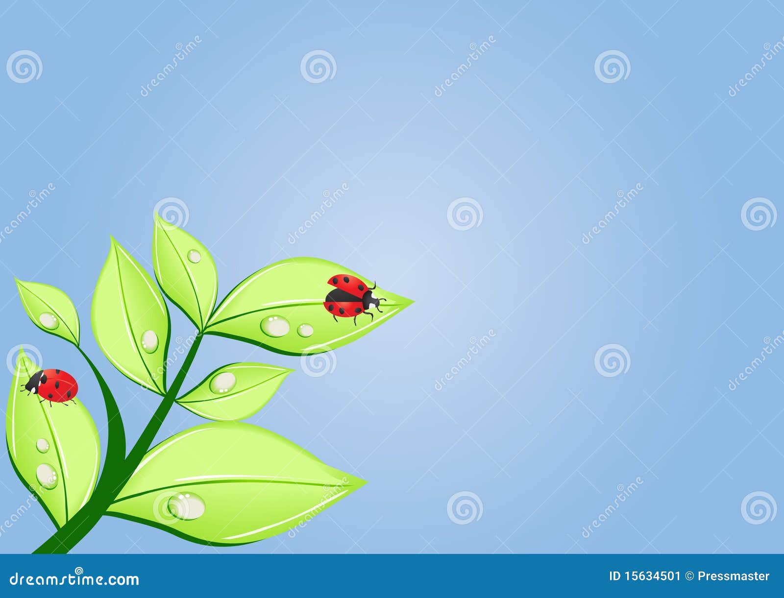Two ladybugs stock illustration. Illustration of insect - 15634501