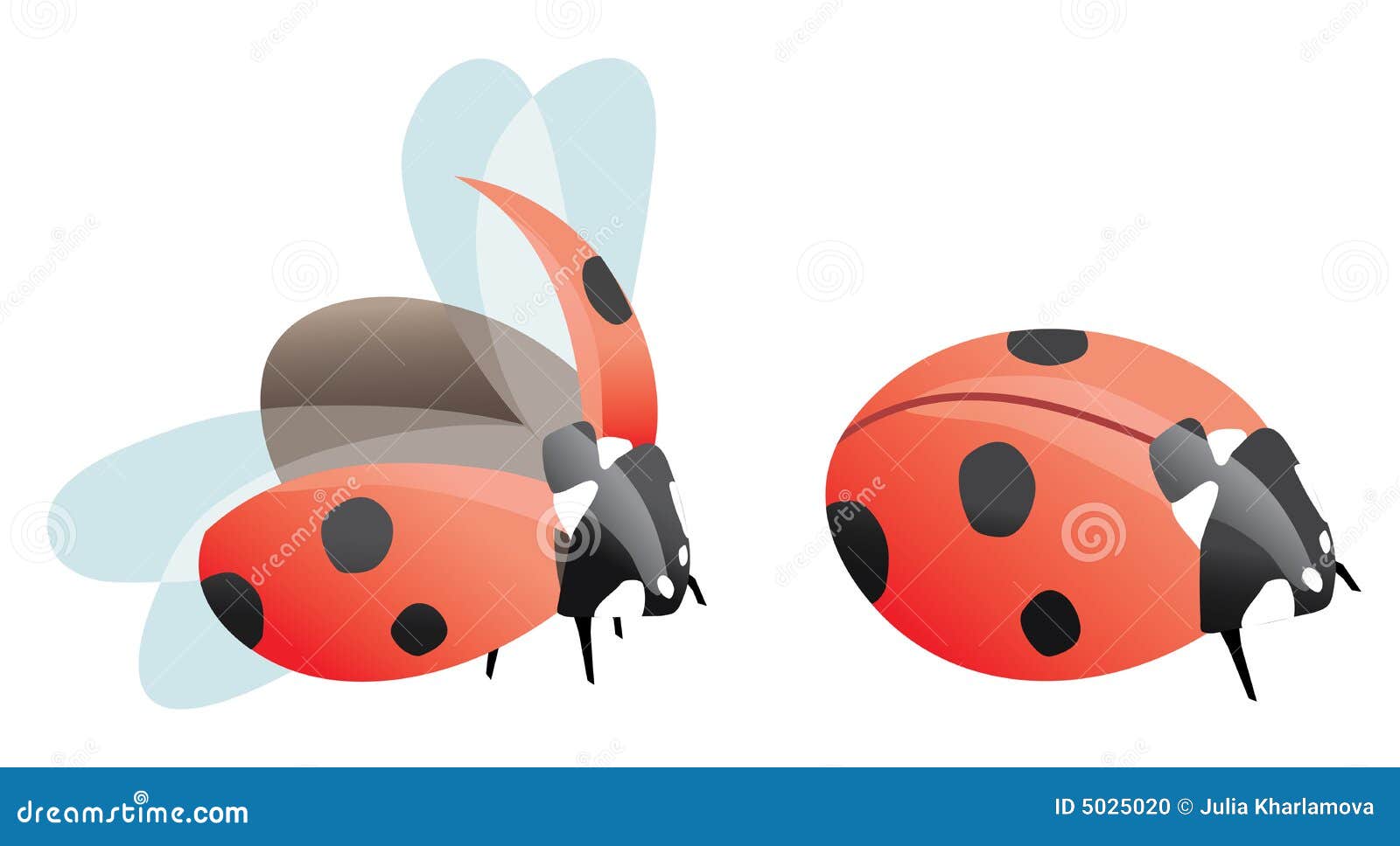 Two ladybugs stock illustration. Illustration of outdoor - 5025020