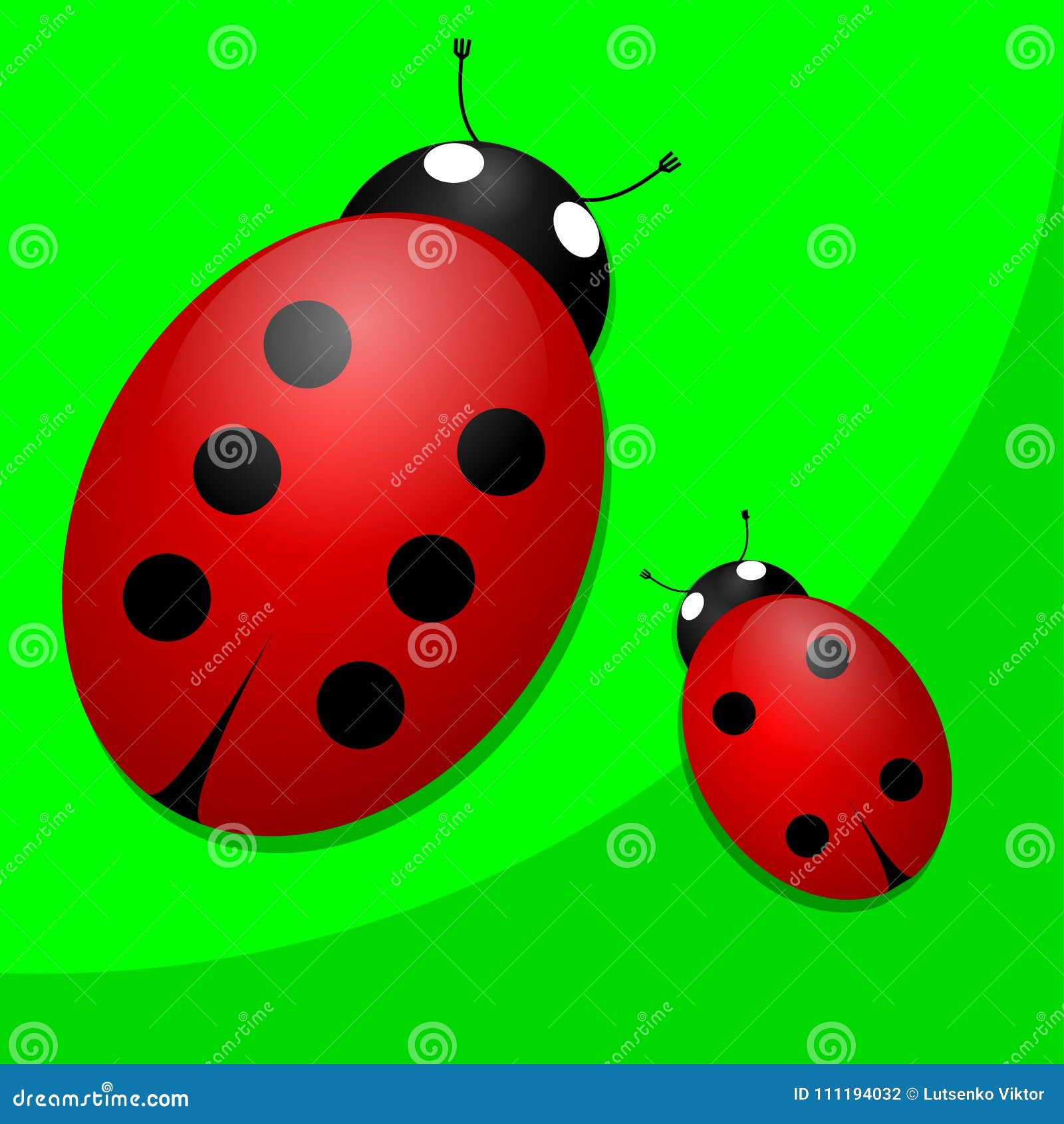 Two Ladybugs on Green Background Stock Illustration - Illustration of ...
