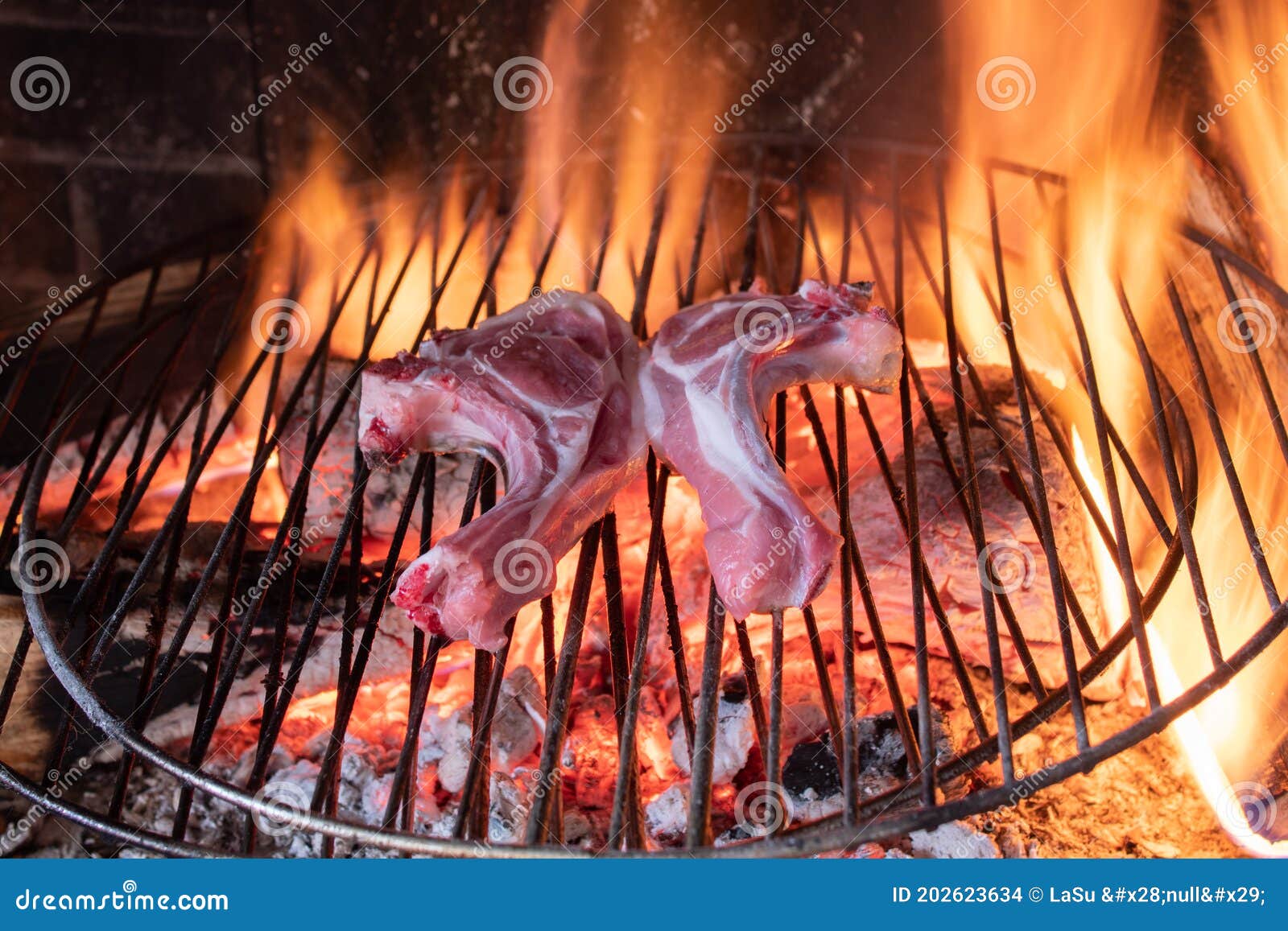 Lamb chops on the fire stock photo. Image of carnivorous - 202623634