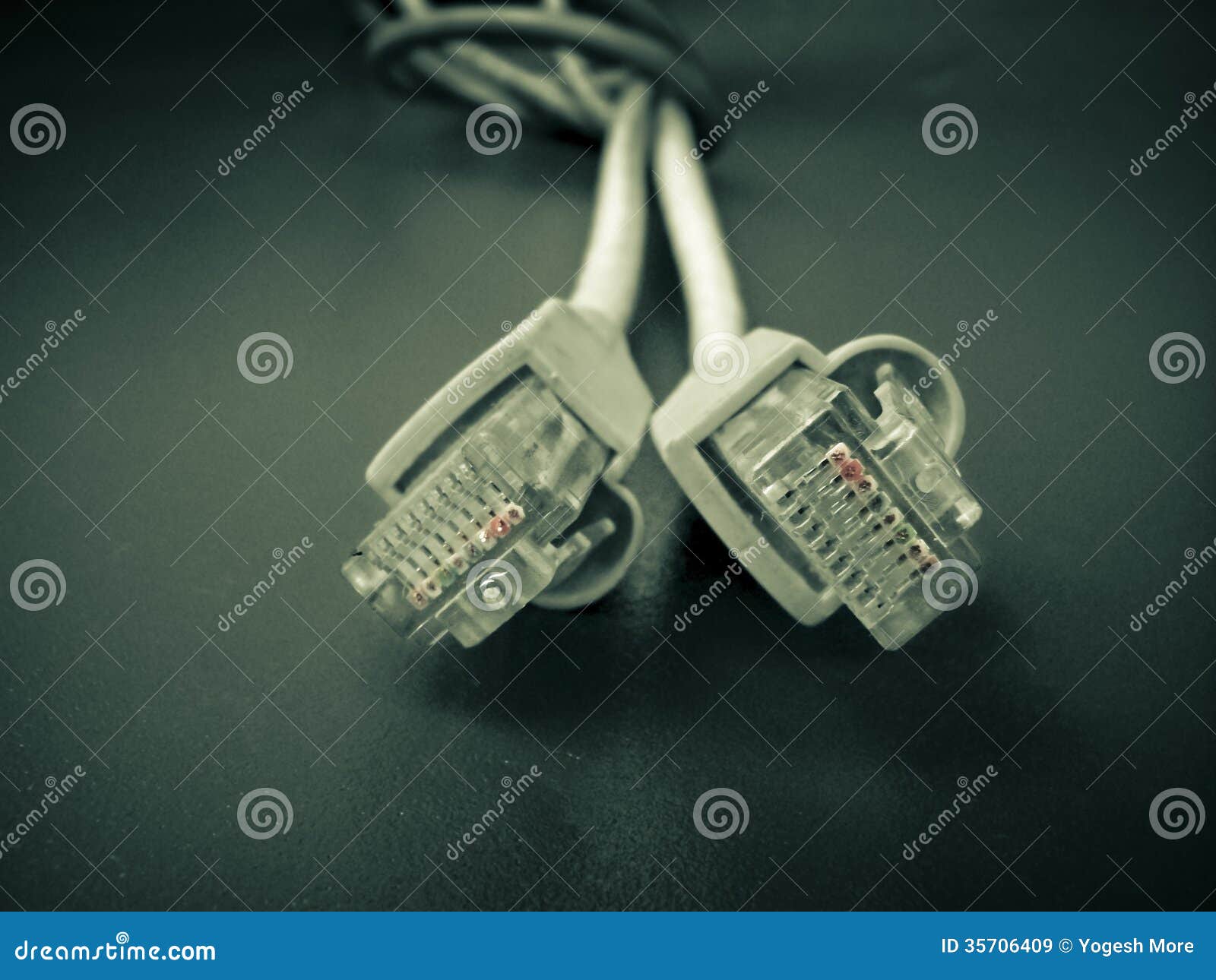 Two Lan cables stock image. Image of serial, data, plug - 35706409