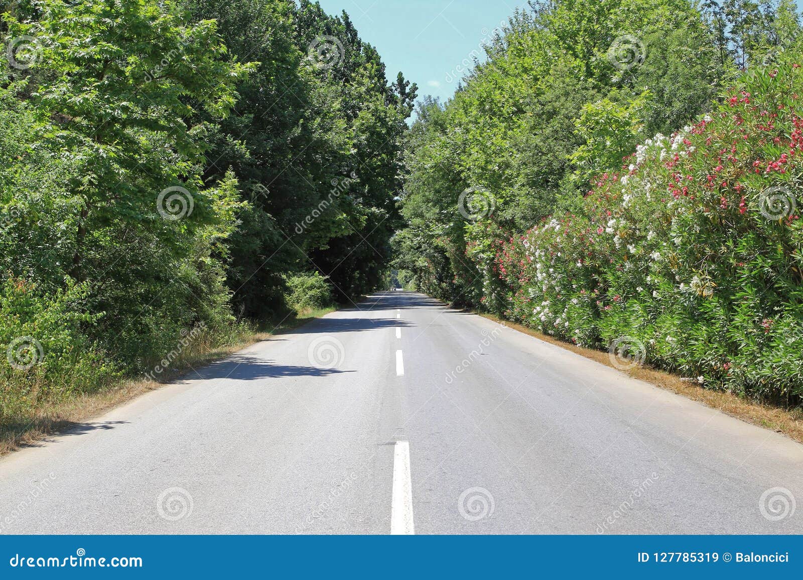 Two Lane Road stock image. Image of transportation, route - 127785319