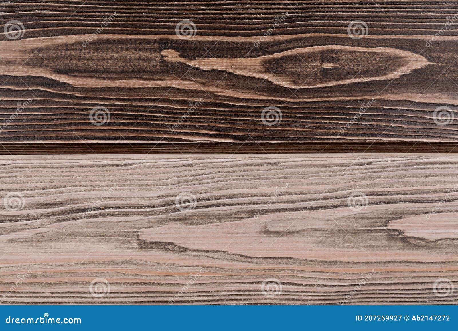 Two Larch Boards of Different Colors with Wood Texture. Empty Space for ...