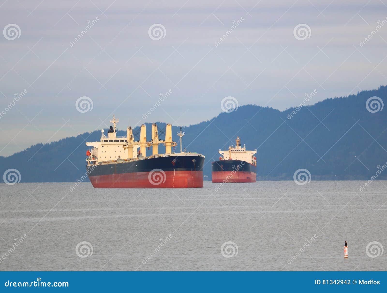 Two large freighters stock photo. Image of vessel, hull - 81342942