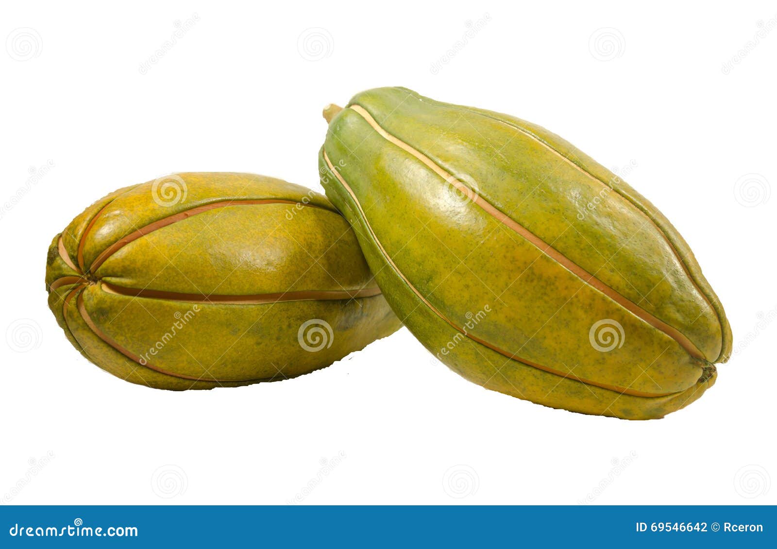 Two Large papayas stock photo. Image of food, green, papayas - 69546642