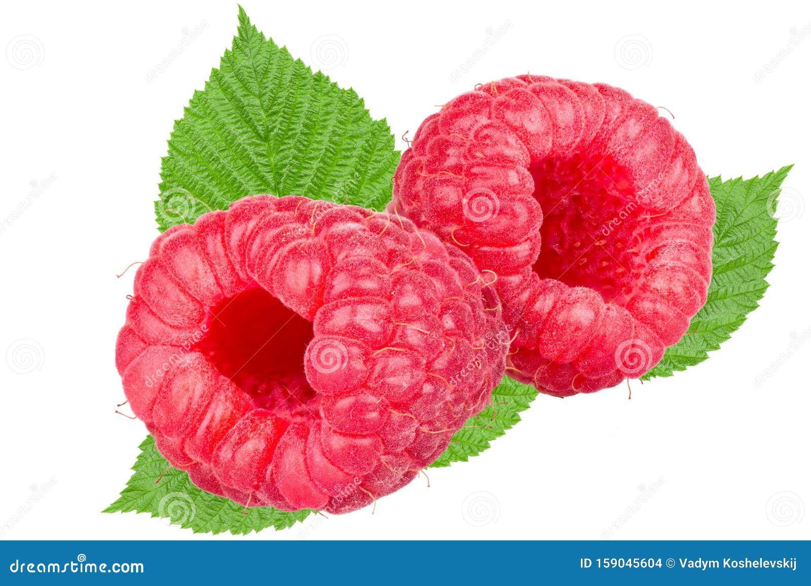 Raspberry Isolated on White Background Stock Photo - Image of large ...