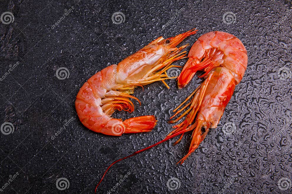 Two Royal Prawns with Shell. Stock Image - Image of background ...