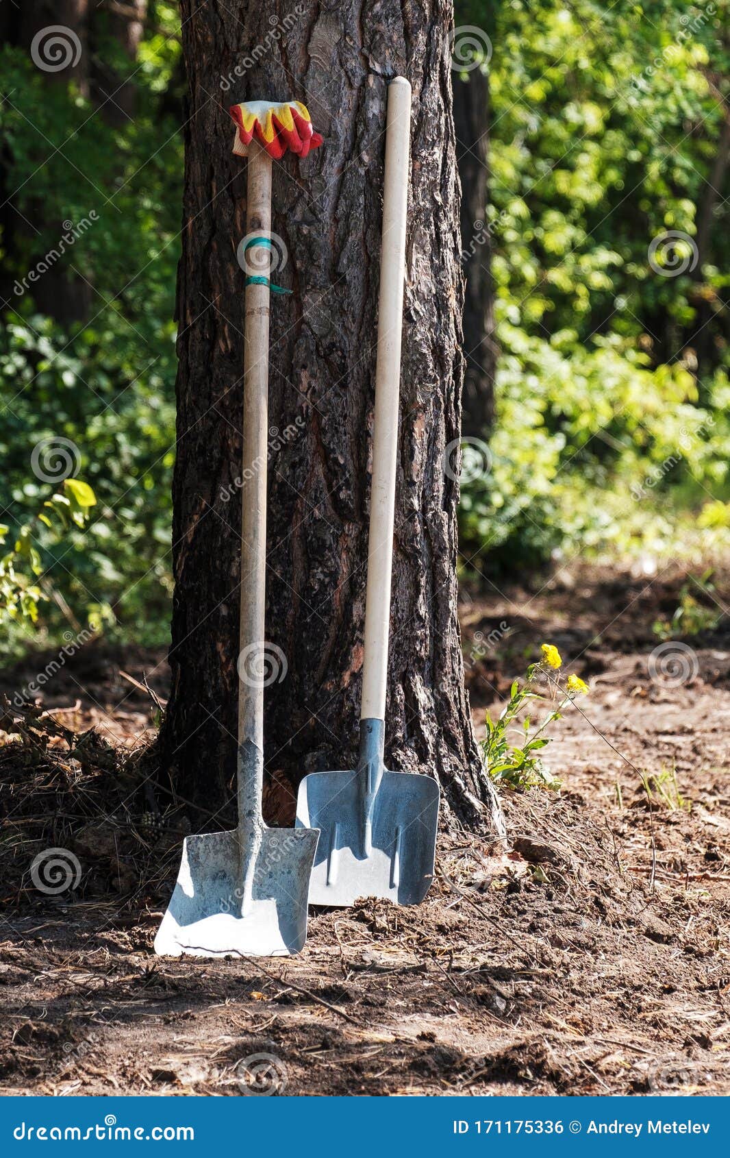 Two Large Shovels From Plywood. Royalty-Free Stock Image ...