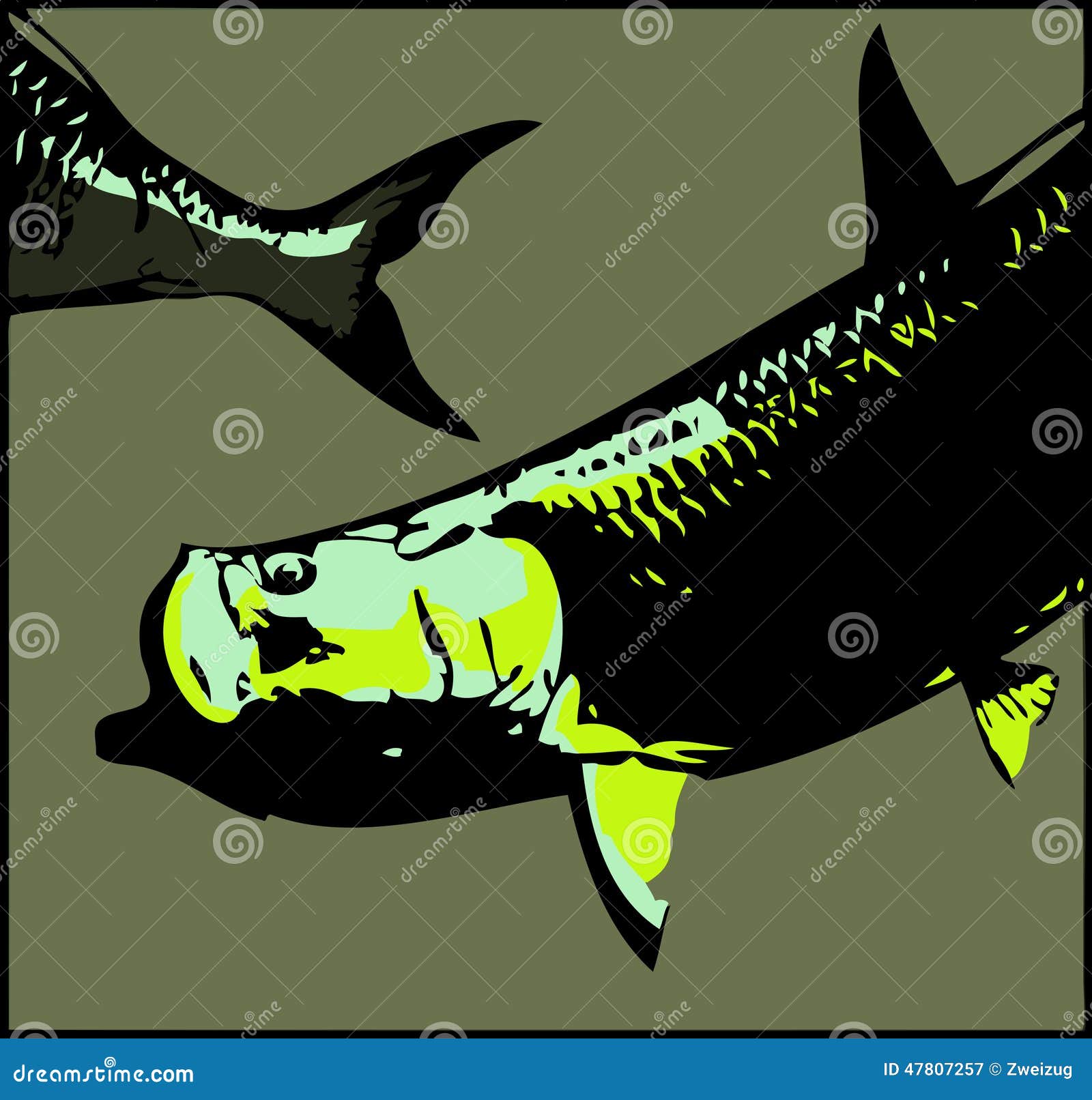 Tarpons Cartoons, Illustrations & Vector Stock Images - 22 Pictures to ...