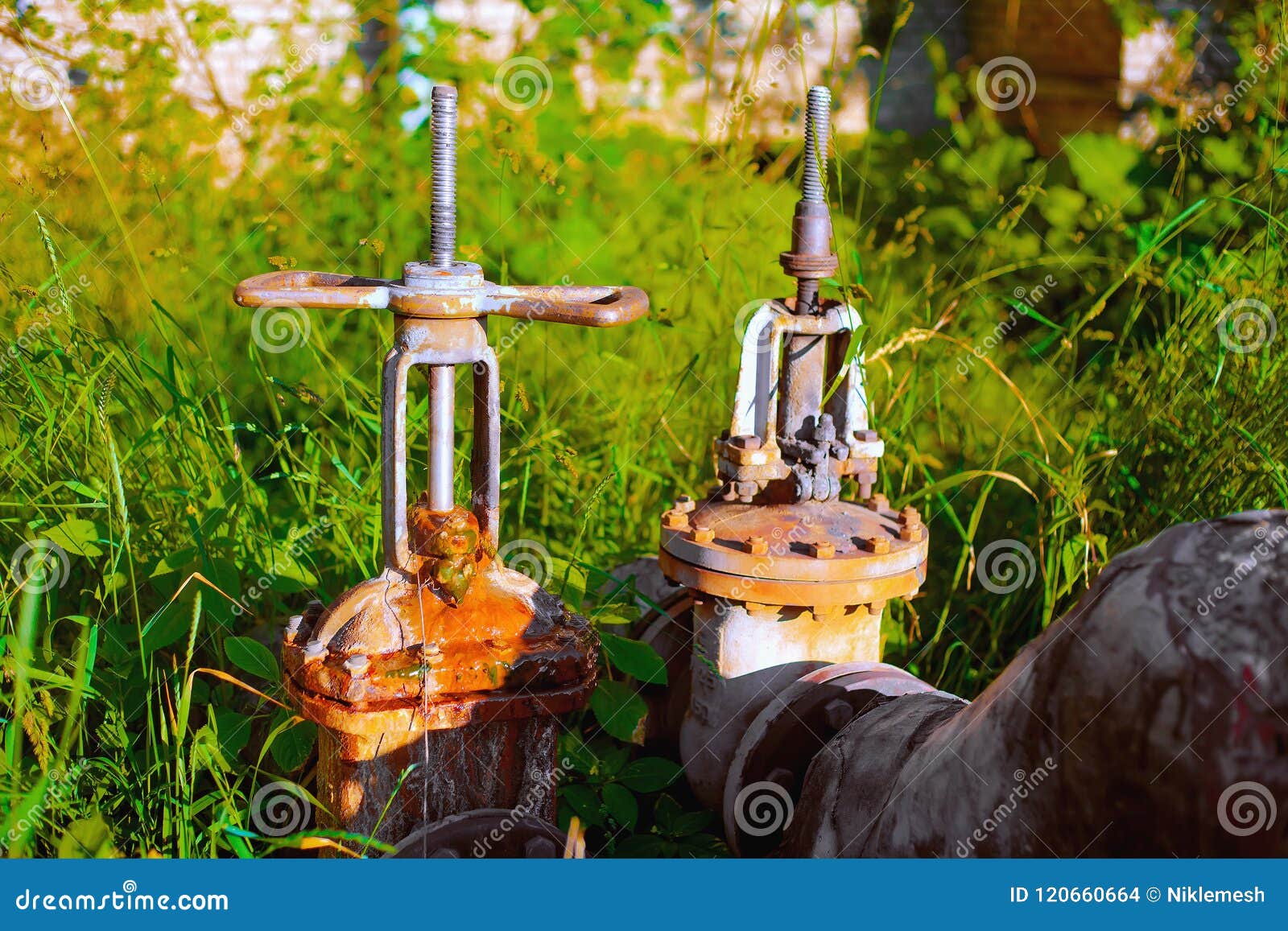 Two Large Water Valves in the Sunlight on the Grass Background Stock ...
