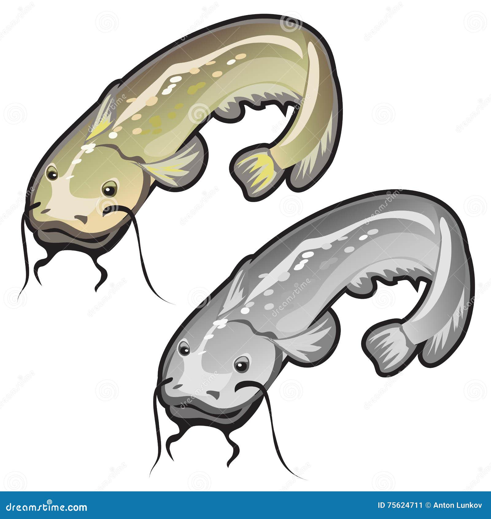 Two Large Well-fed and Fatty Whiskered Catfish Stock Vector ...