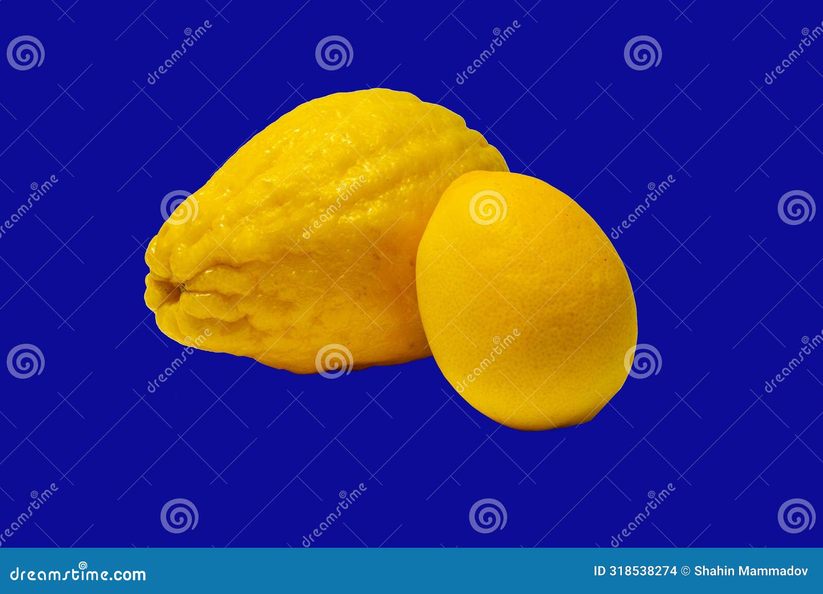 Two Large Yellow Lemons on a Bright Blue Background. Healthy Eating ...