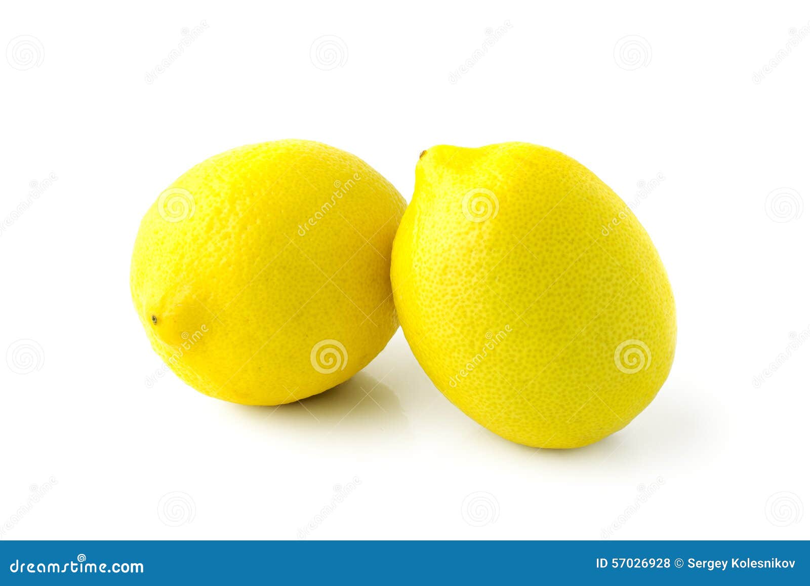 Two large yellow lemons stock photo. Image of ingredient - 57026928