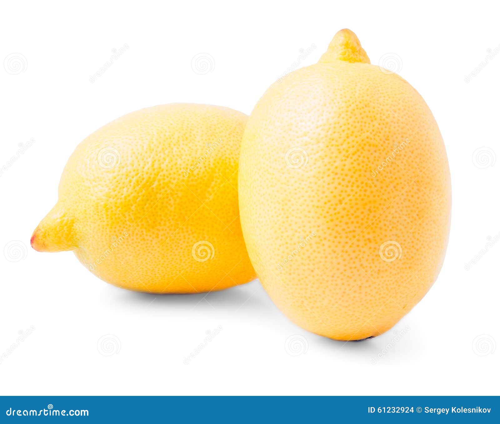 Two large yellow lemons stock photo. Image of citrus - 61232924