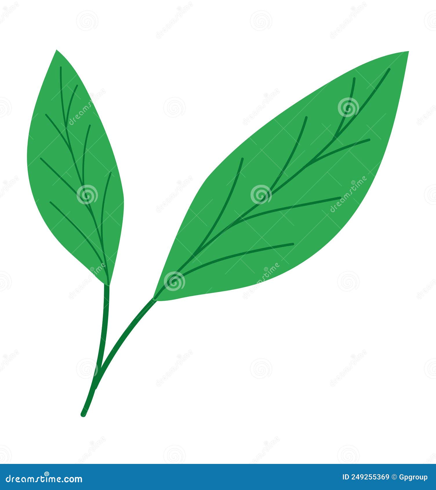 Two leaf design stock vector. Illustration of vector - 249255369