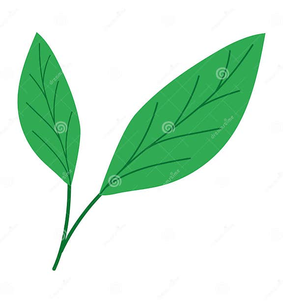 Two leaf design stock vector. Illustration of vector - 249255369