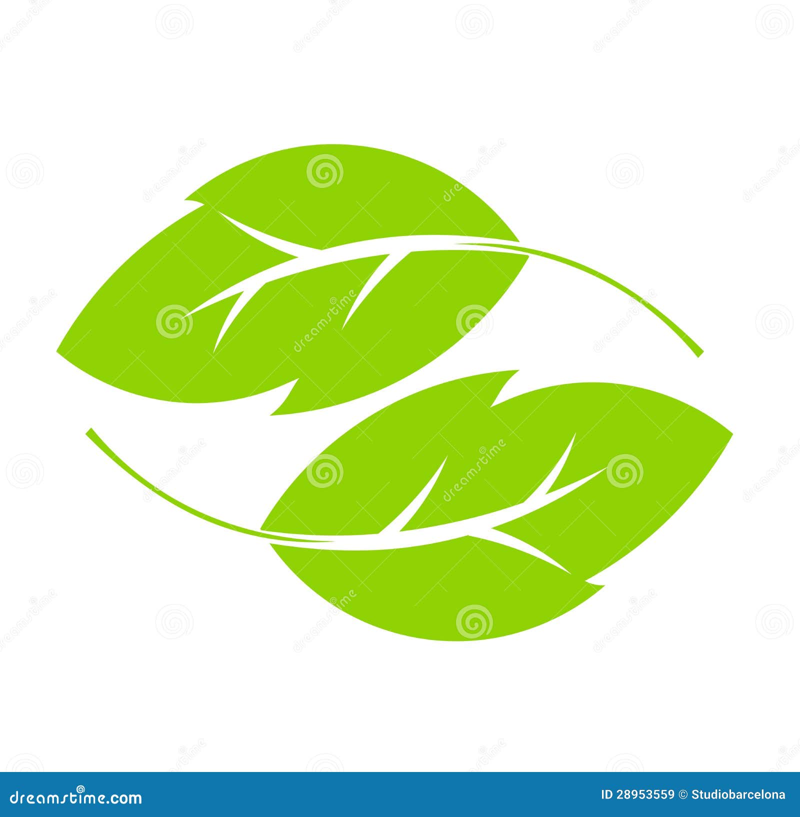 Two leaves stock vector. Illustration of green, freshness - 28953559