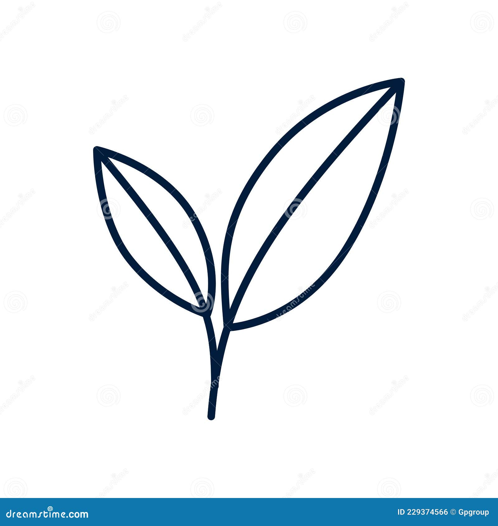 Two leaves illustration stock vector. Illustration of forest - 229374566