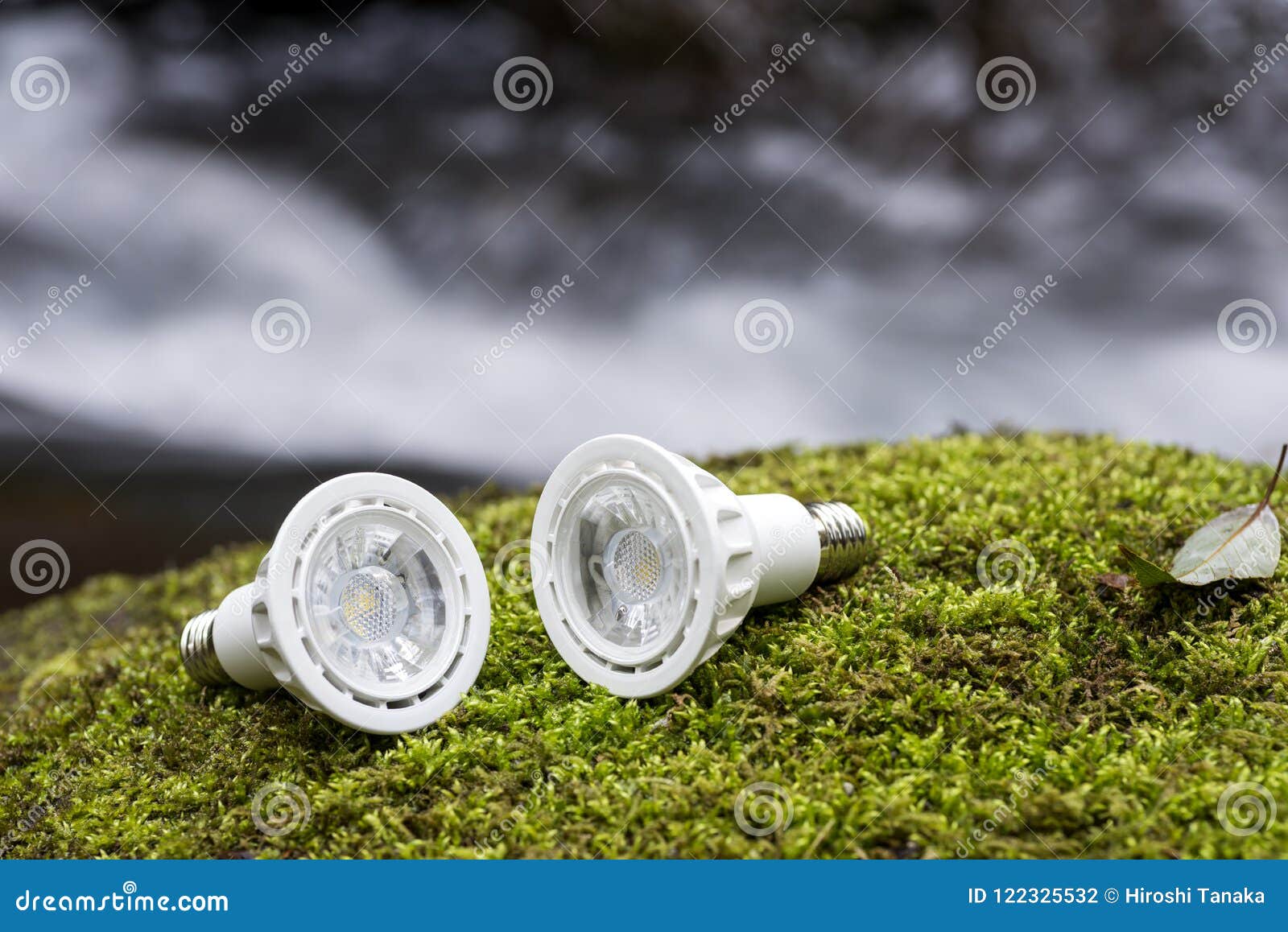 Two LED light bulbs stock photo. Image of lamp, industry - 122325532
