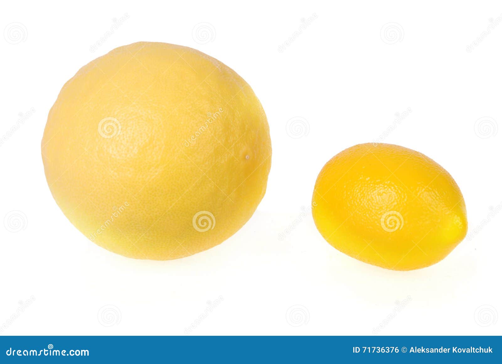 Two lemon on white stock photo. Image of yellow, ripe - 71736376