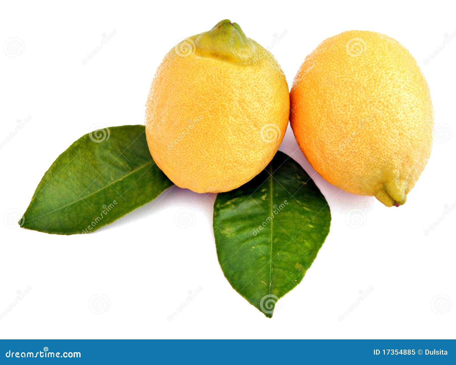 Two lemons stock image. Image of branch, breakfast, snack - 17354885