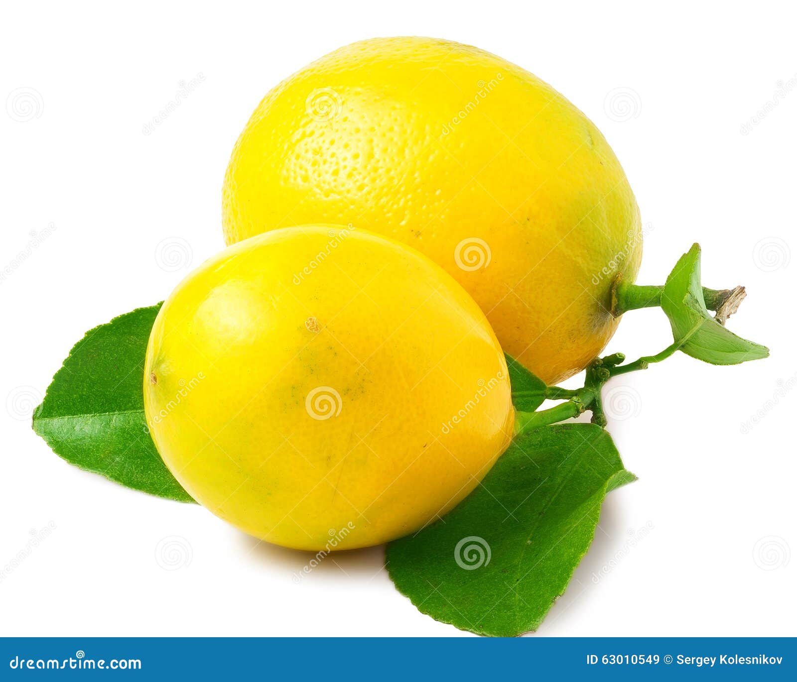 Two lemons with leaf stock image. Image of acid, nutrition - 63010549