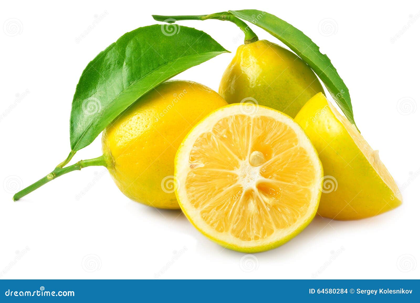 Two lemons with leaf stock photo. Image of closeup, nutrition - 64580284