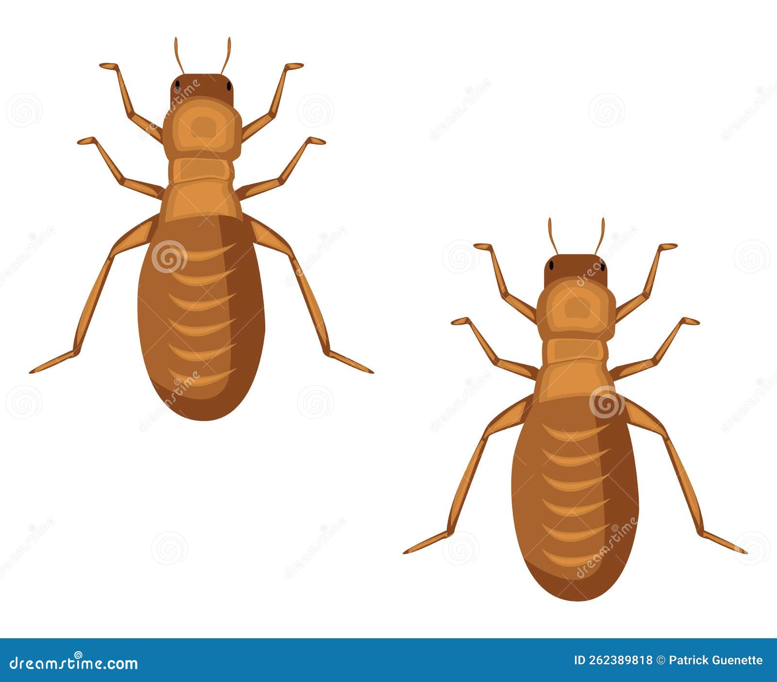 Two lice, icon stock vector. Illustration of background - 262389818