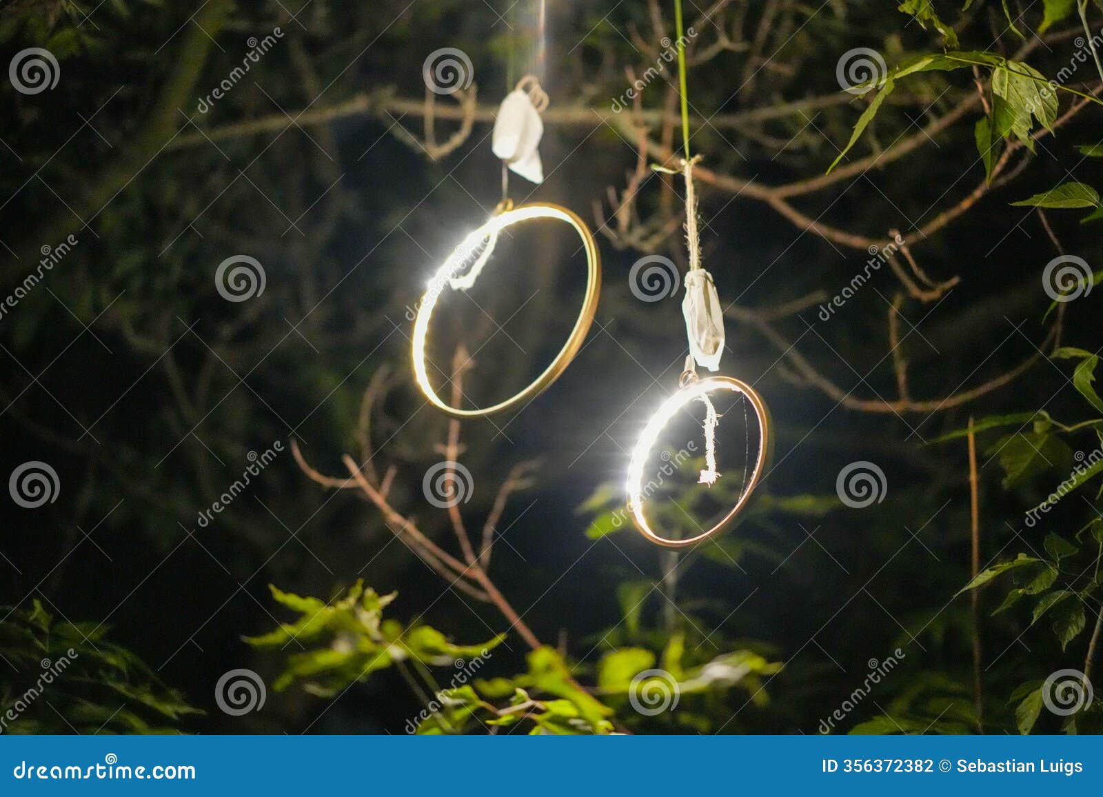 Two Lighted Rings Hanging from a Tree Branch Stock Photo - Image of ...
