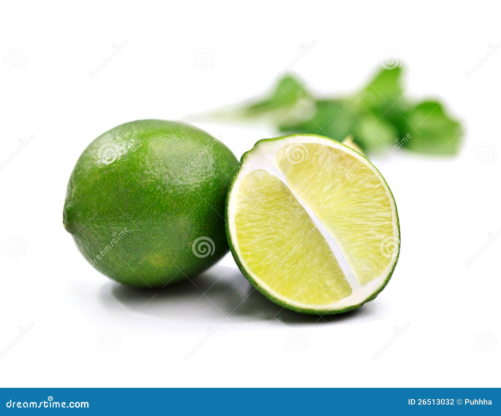 Two limes stock photo. Image of studio, closeup, fruit - 26513032