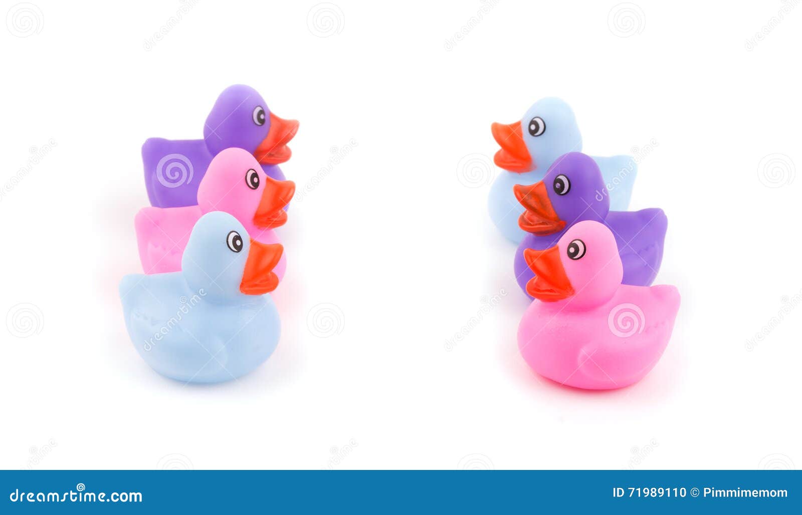 Two Lines of Rubber Ducks Facing Each Other Stock Photo - Image of ...