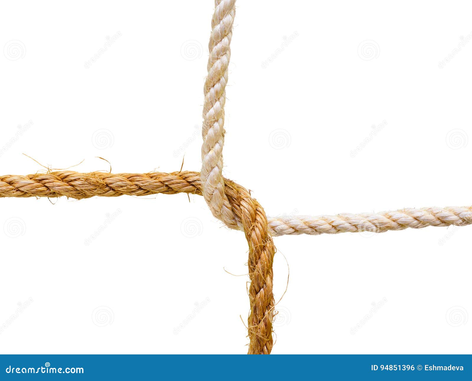 Two Linked Ropes Cross Section Stock Photo - Image of isolated, twist ...