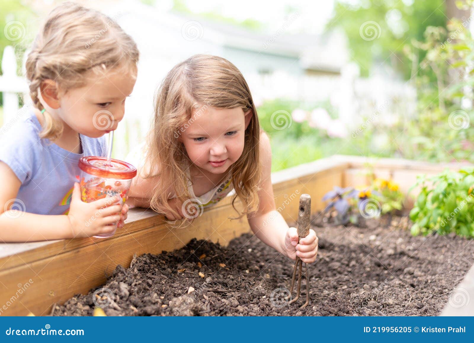 Two Little Girls Digging in a Garden Bed Stock Image - Image of ...