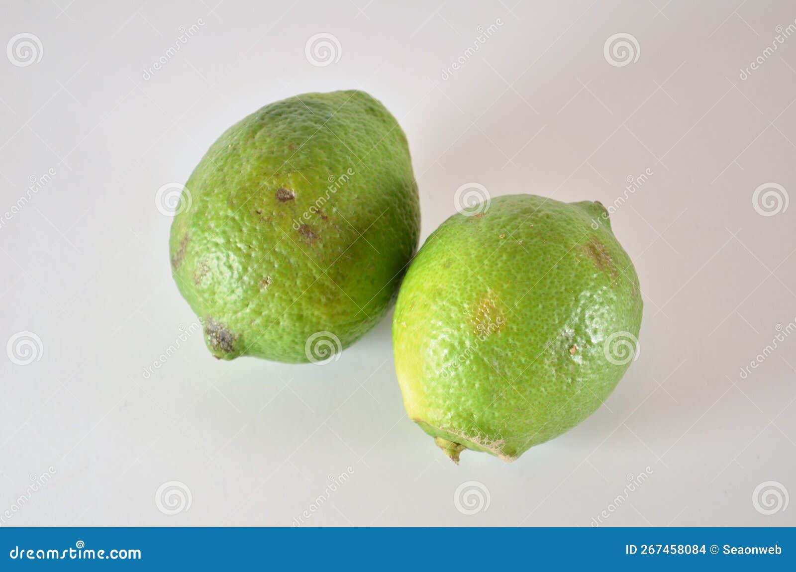 Two Little Green Little Limes on Top of a White Table Stock Photo ...