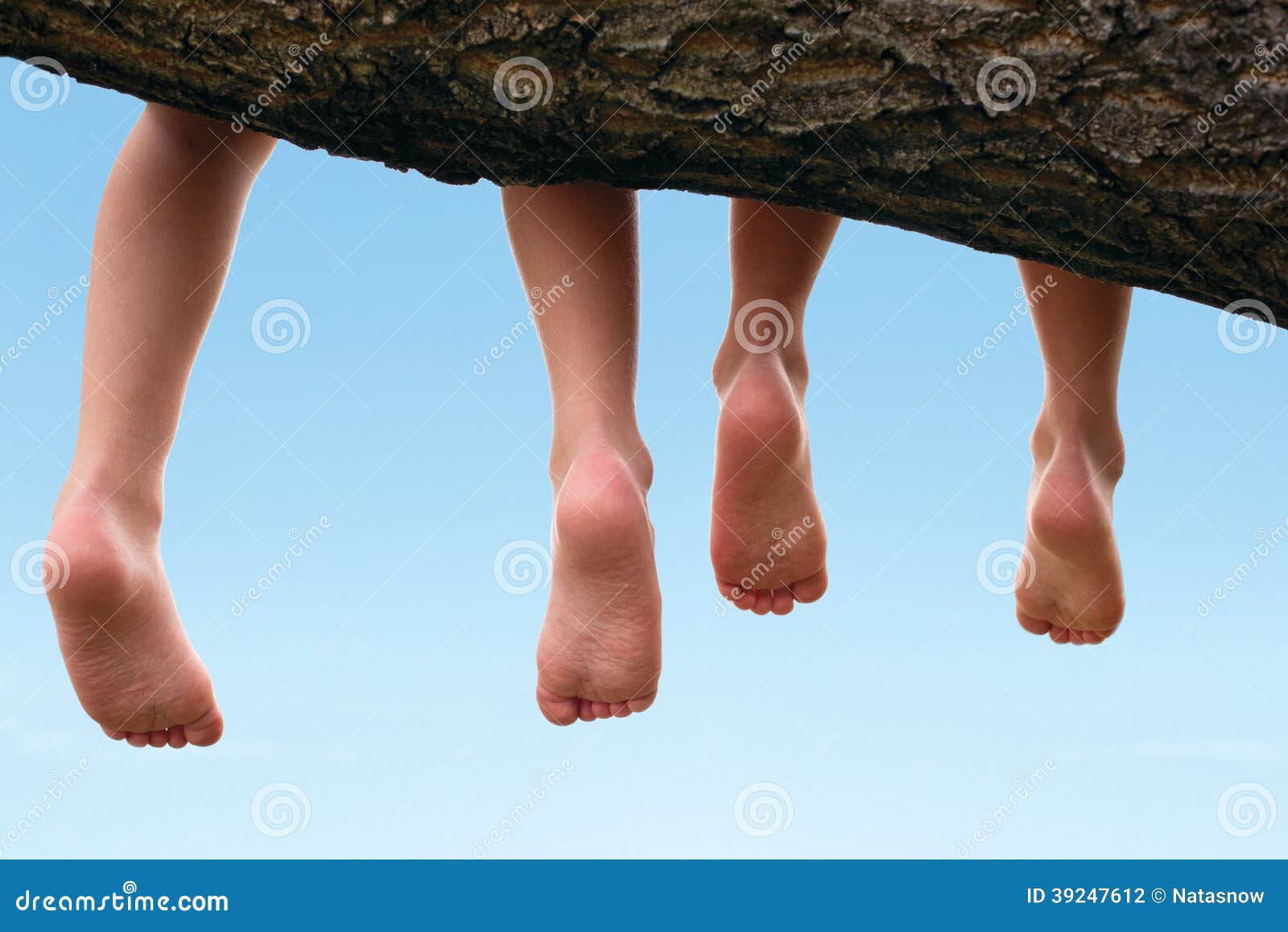 Two Little Kids Sitting on a Branch of a Tree Stock Photo - Image of ...