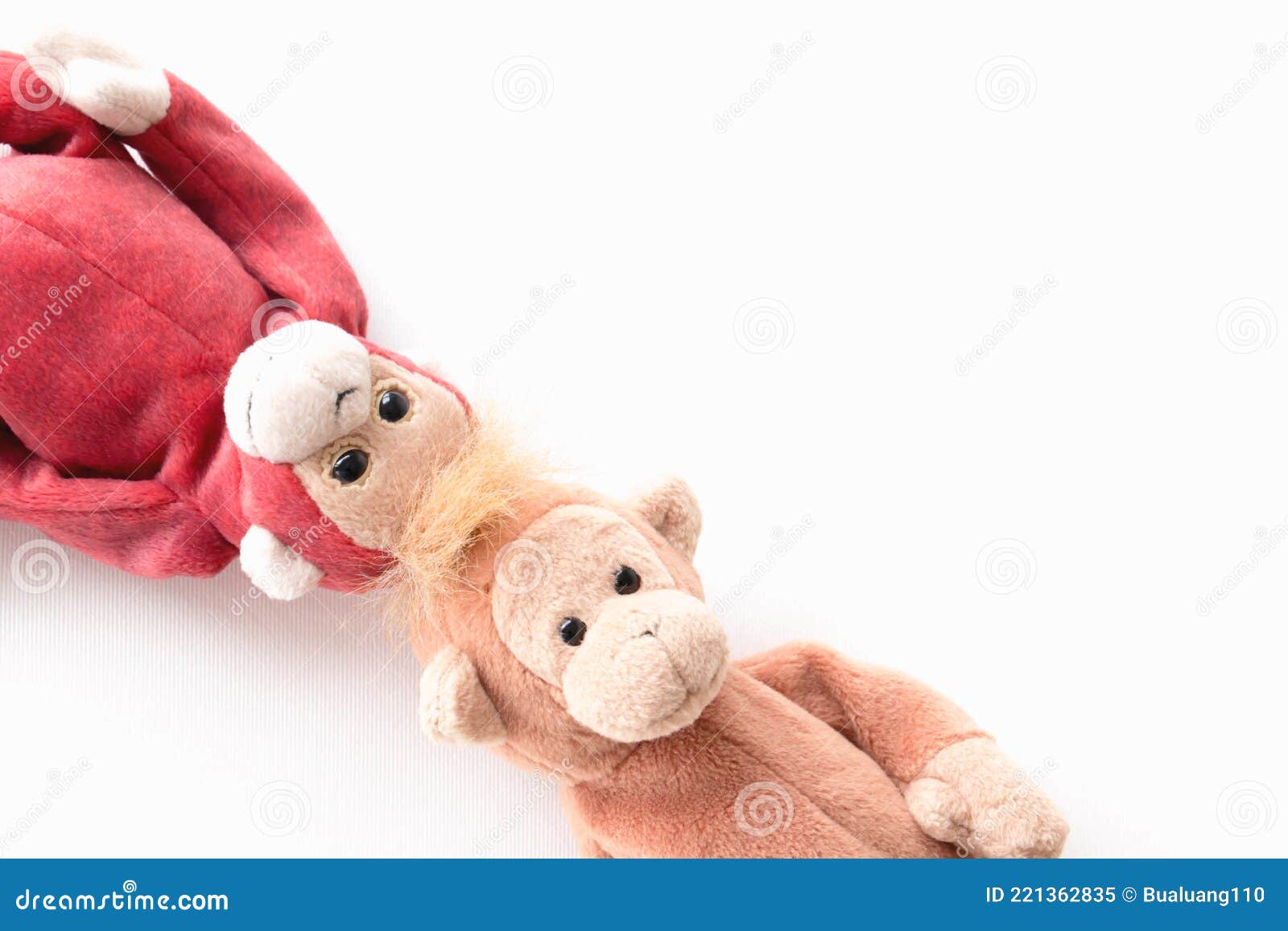 Two Little Monkeys Lying Down Relaxing on the Bed Stock Image - Image ...