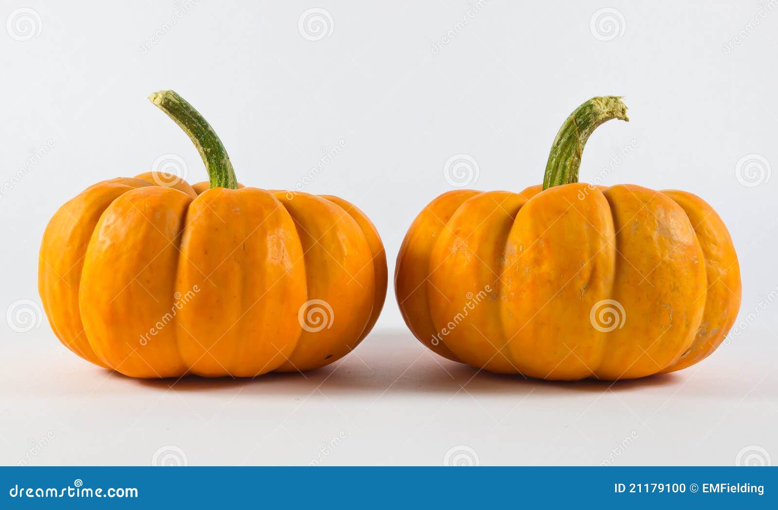 Two Little Pumpkins stock photo. Image of fall, orange - 21179100