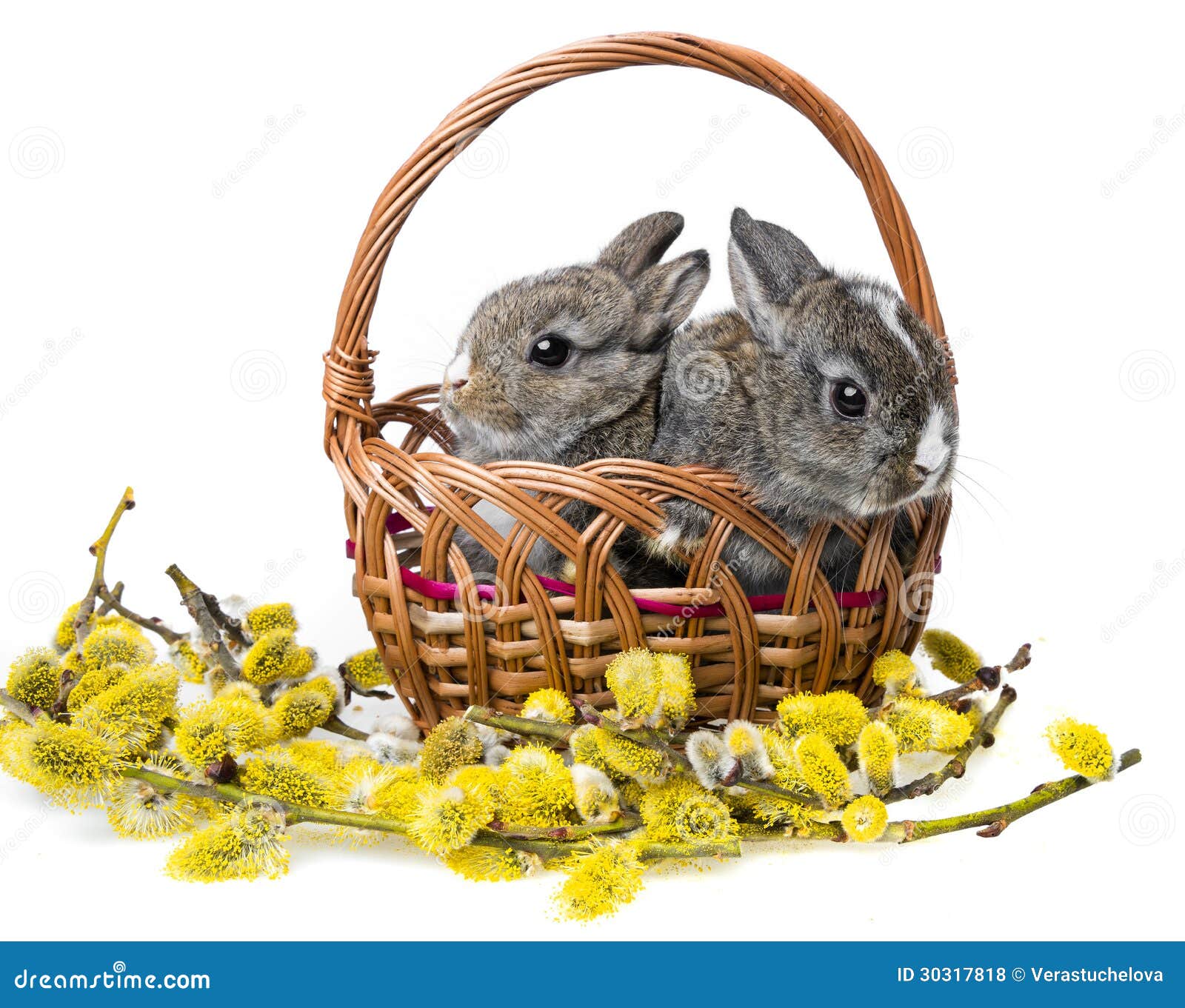 Two Little Rabbits in a Basket Stock Photo - Image of bright, furry ...