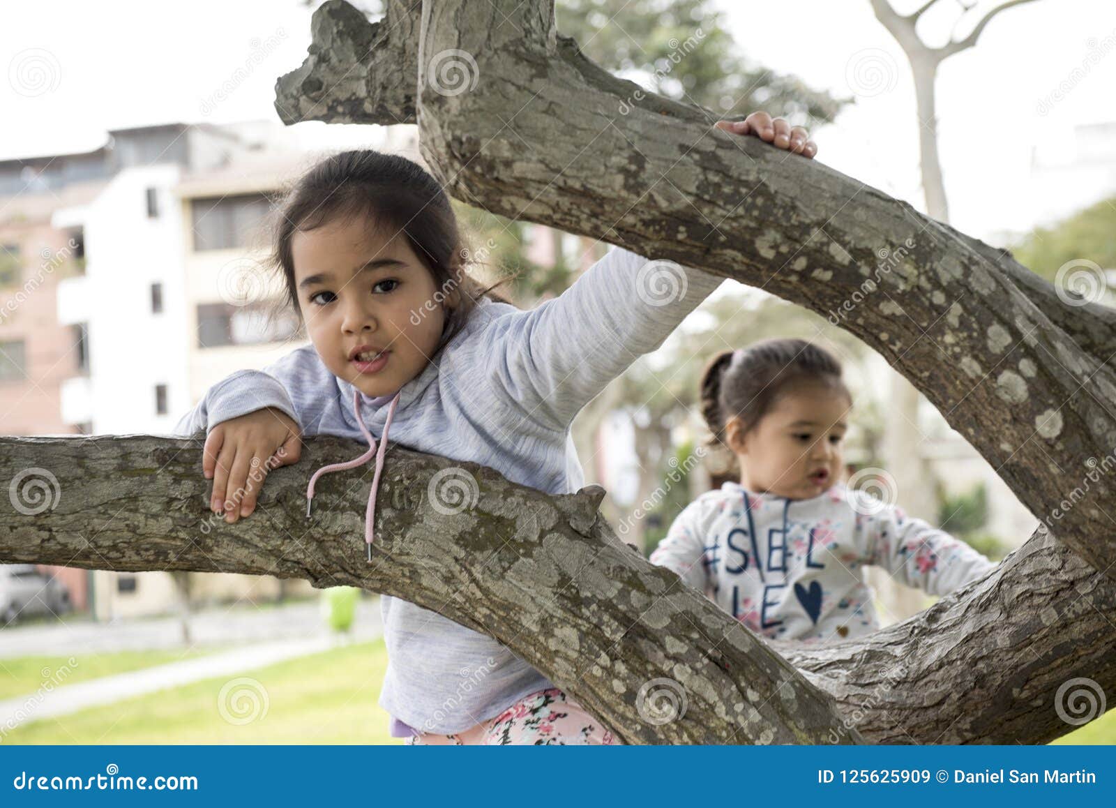 Two Little Sisters Playing in the Park Tree Outdoors Stock Image ...