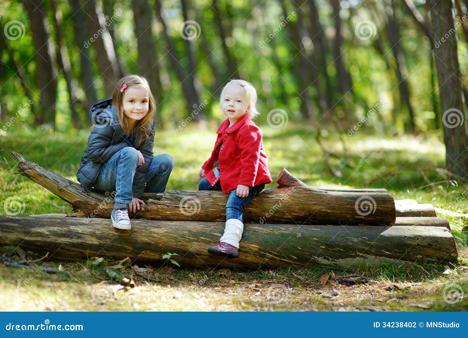 Two Little Sisters Sitting on a Big Log Stock Photo - Image of groove ...