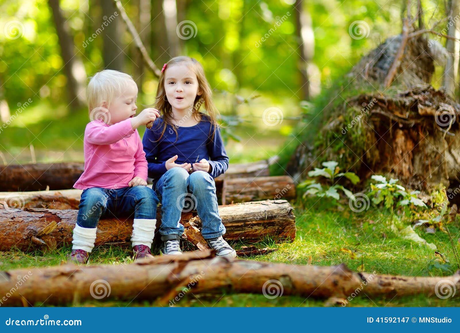 Two Little Sisters Sitting on a Log in a Forest Stock Image - Image of ...
