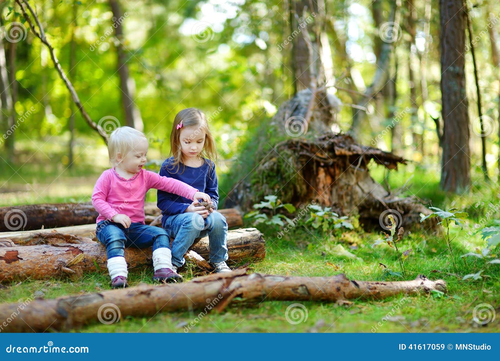 Two Little Sisters Sitting on a Log in a Forest Stock Image - Image of ...