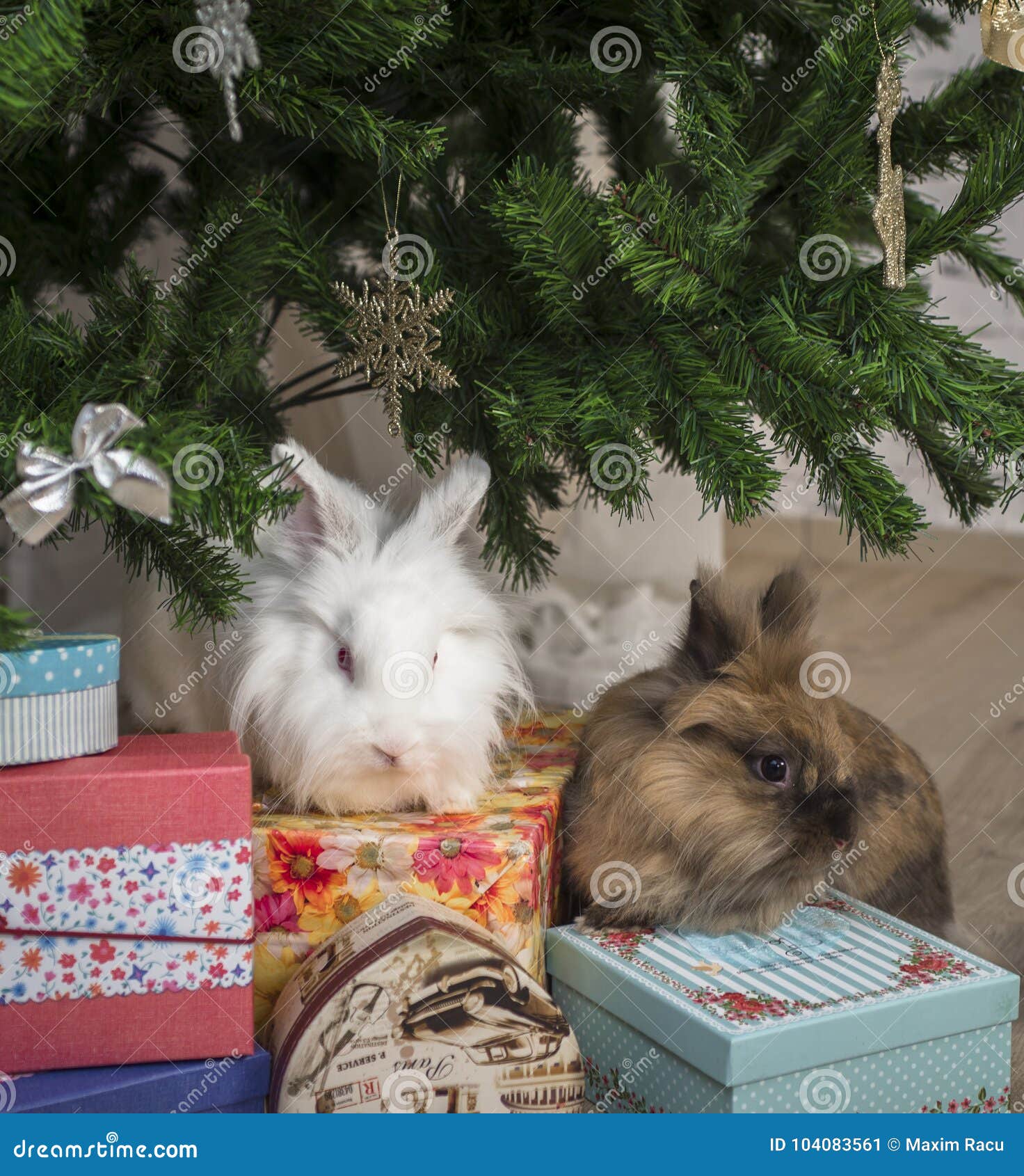 Two Little Rabbit Sits Under the Christmas Tree Stock Image - Image of ...